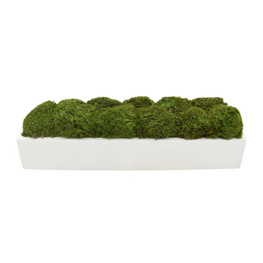 Rectangular Moss Arrangement - Playtpus Home